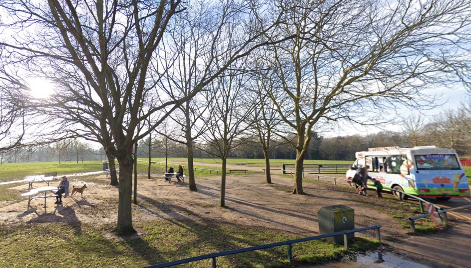 Danson Park could Go Ape with zip wire course planned - The Greenwich Wire